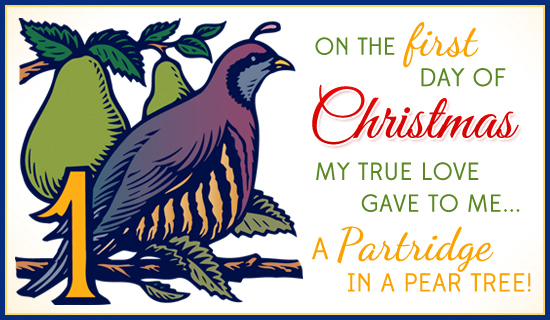 First Day of Christmas - Devotion to Our Lady